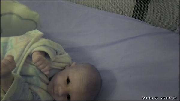 Building a Raspberry Pi 3/4/5 Baby Monitor